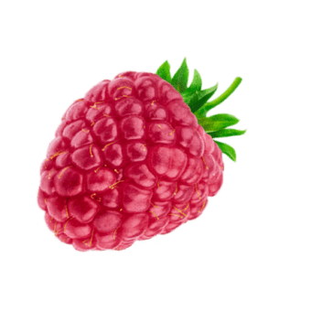 Tubes glacés à l'eau et aux fruits – YETI Original