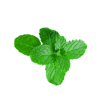 Tubes glacés à l'eau et aux fruits – YETI Original