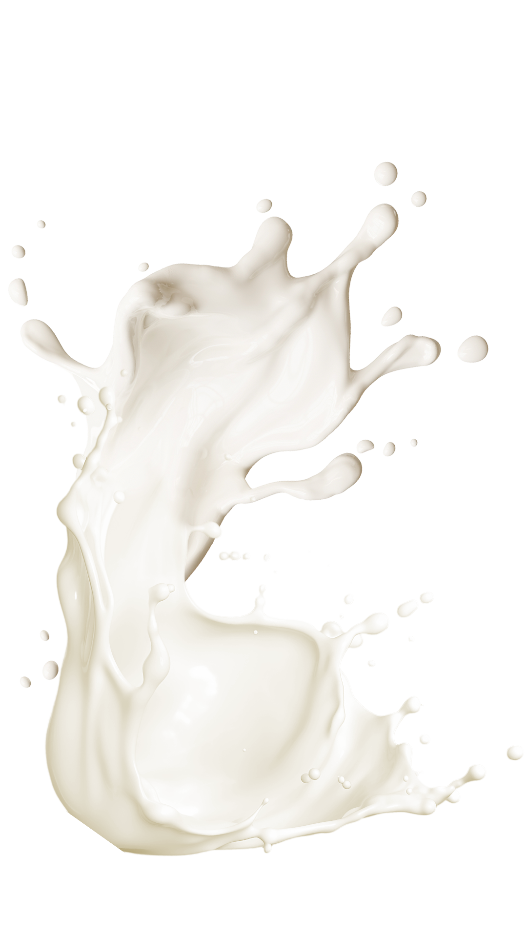 Yeti Cocoloco - Yeti